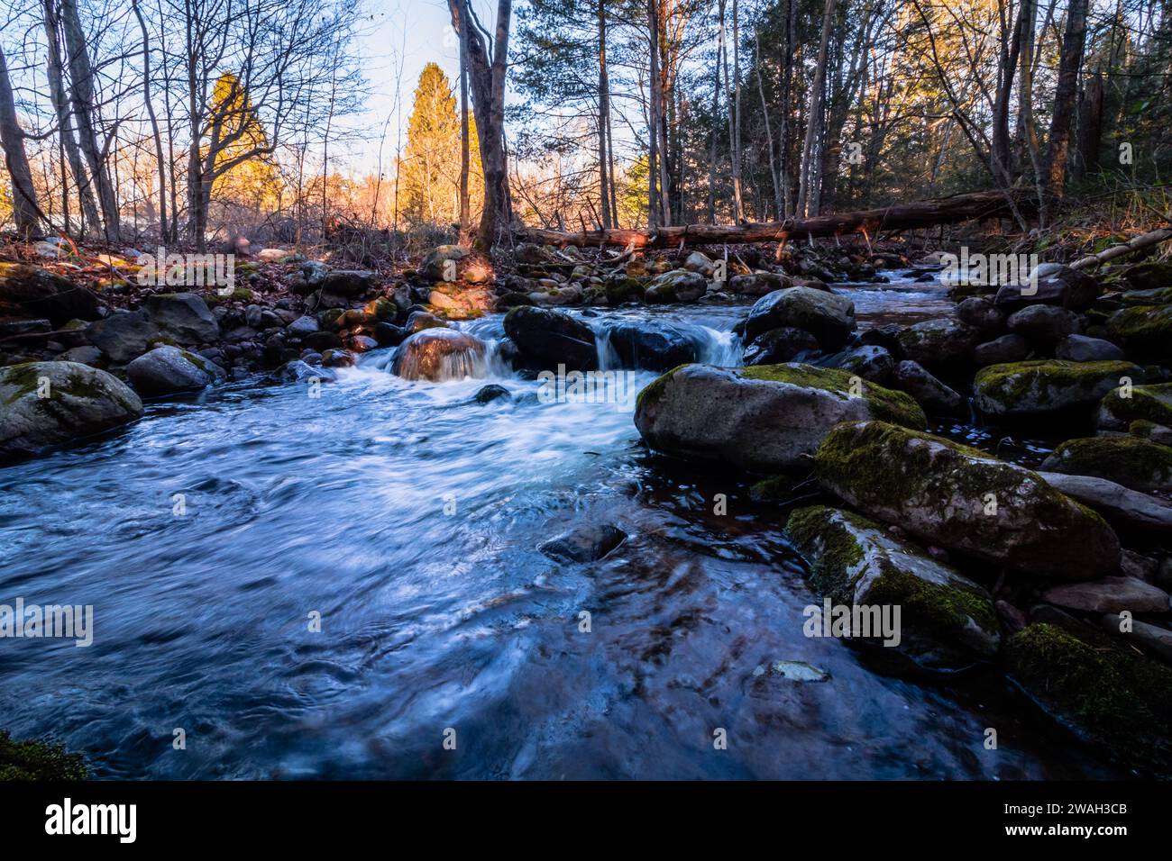 Stokes State Forest in Sussex County, NJ, Flatbrook runs along the Blue ...
