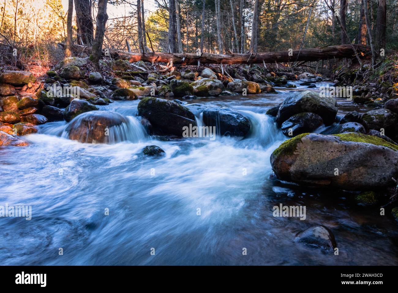 Stokes State Forest in Sussex County, NJ, Flatbrook runs along the Blue ...