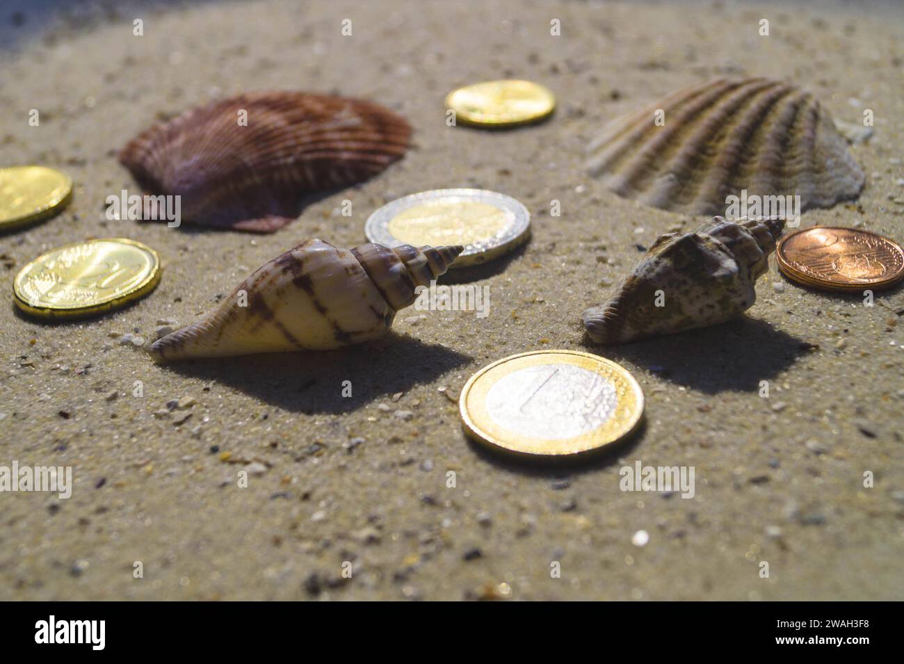 money and shells in the sand, symbol image travel expenses Stock Photo ...