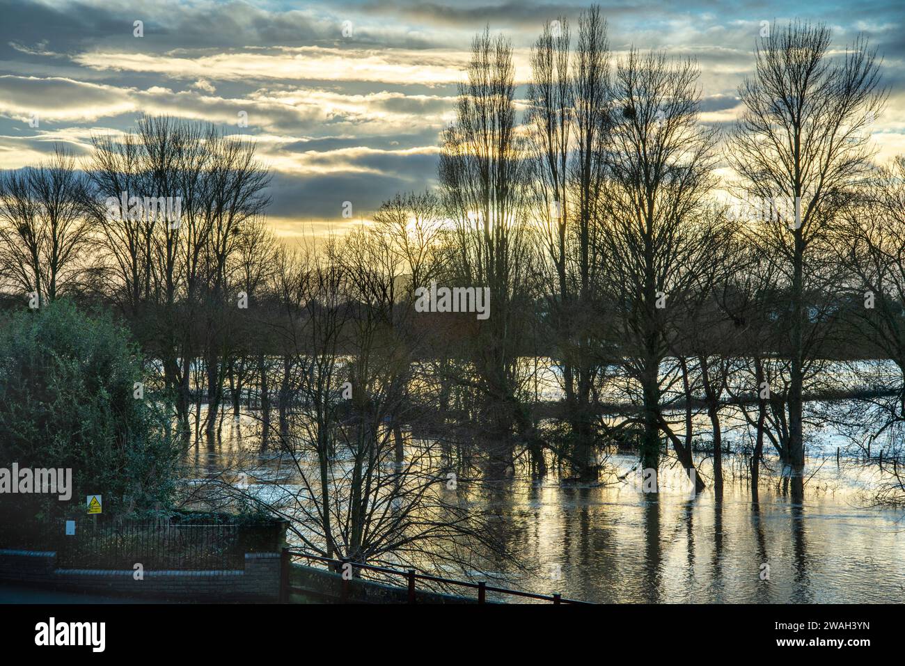 Submerged trees in flood waterl,rains pouring into the Severn river ...