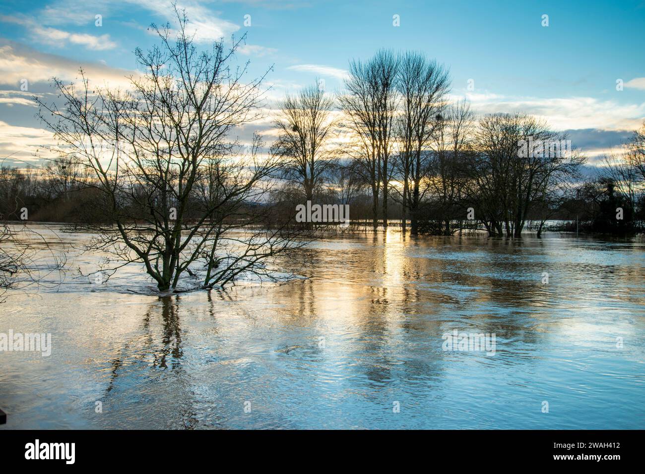 Worcester cathedral flooded river severn hi-res stock photography and ...
