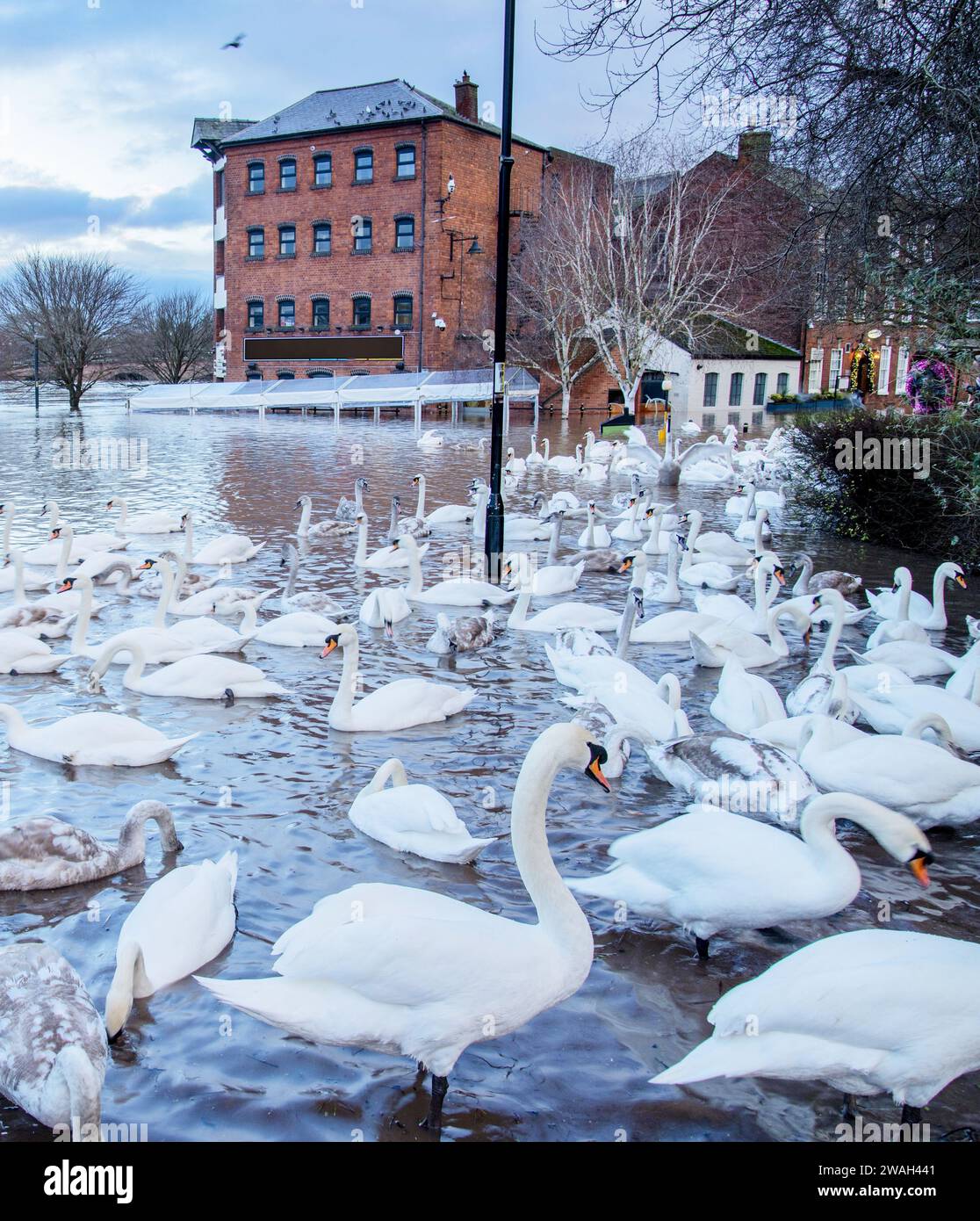Severe January flooding from Winter storms,high river water levels and ...