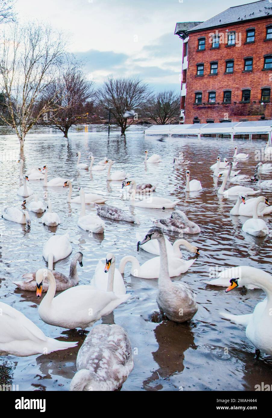 Severe January flooding from Winter storms,high river water levels and ...