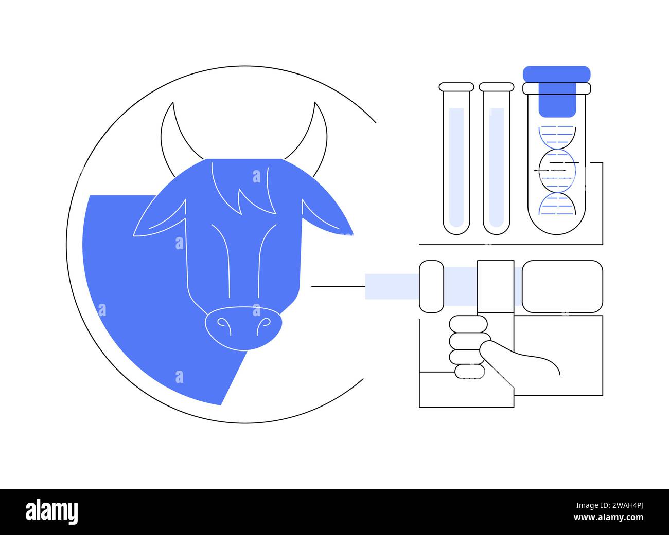 Muscle cow cartoon hi-res stock photography and images - Alamy