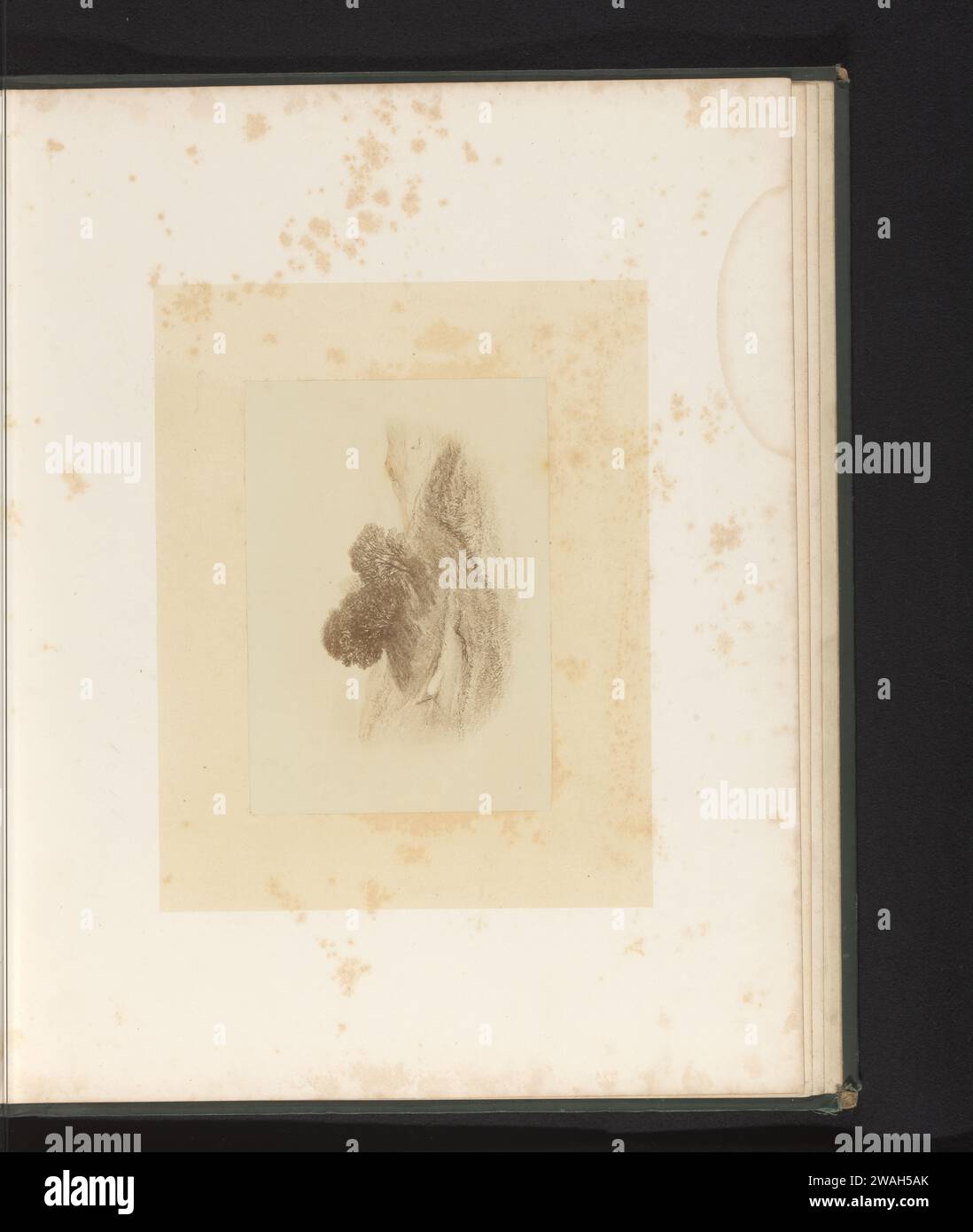 Harvey thomas hi-res stock photography and images - Alamy