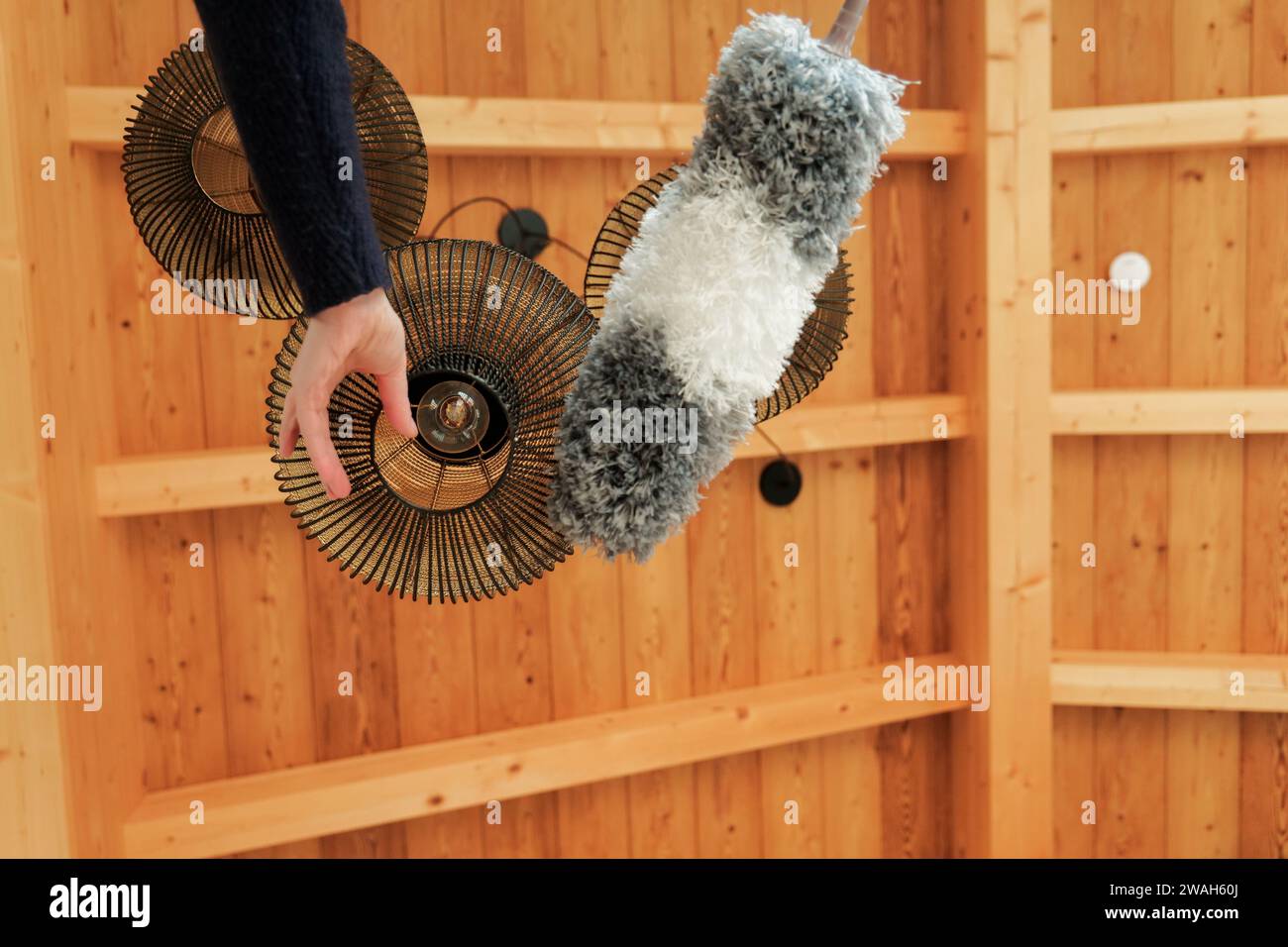 Pipidastr wipes dust from hi-res stock photography and images - Alamy