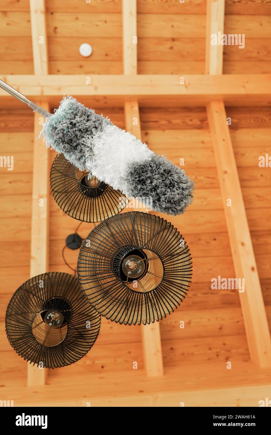 Pipidastr hi-res stock photography and images - Alamy