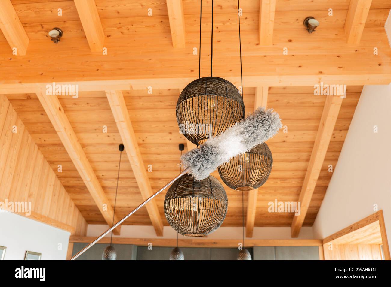 Pipidastr wipes dust from hi-res stock photography and images - Alamy