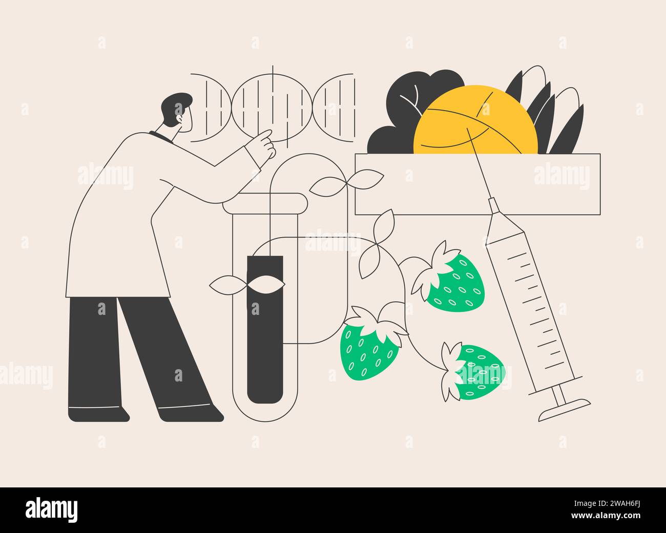 Genetically modified plants abstract concept vector illustration Stock Vector Image & Art - Alamy