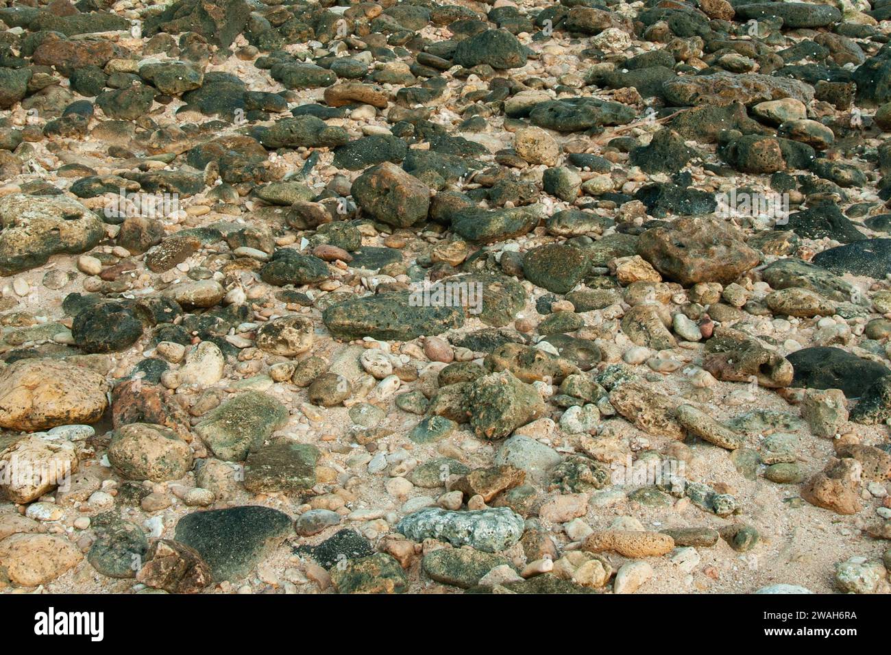 Seamless educational pattern hi-res stock photography and images - Alamy