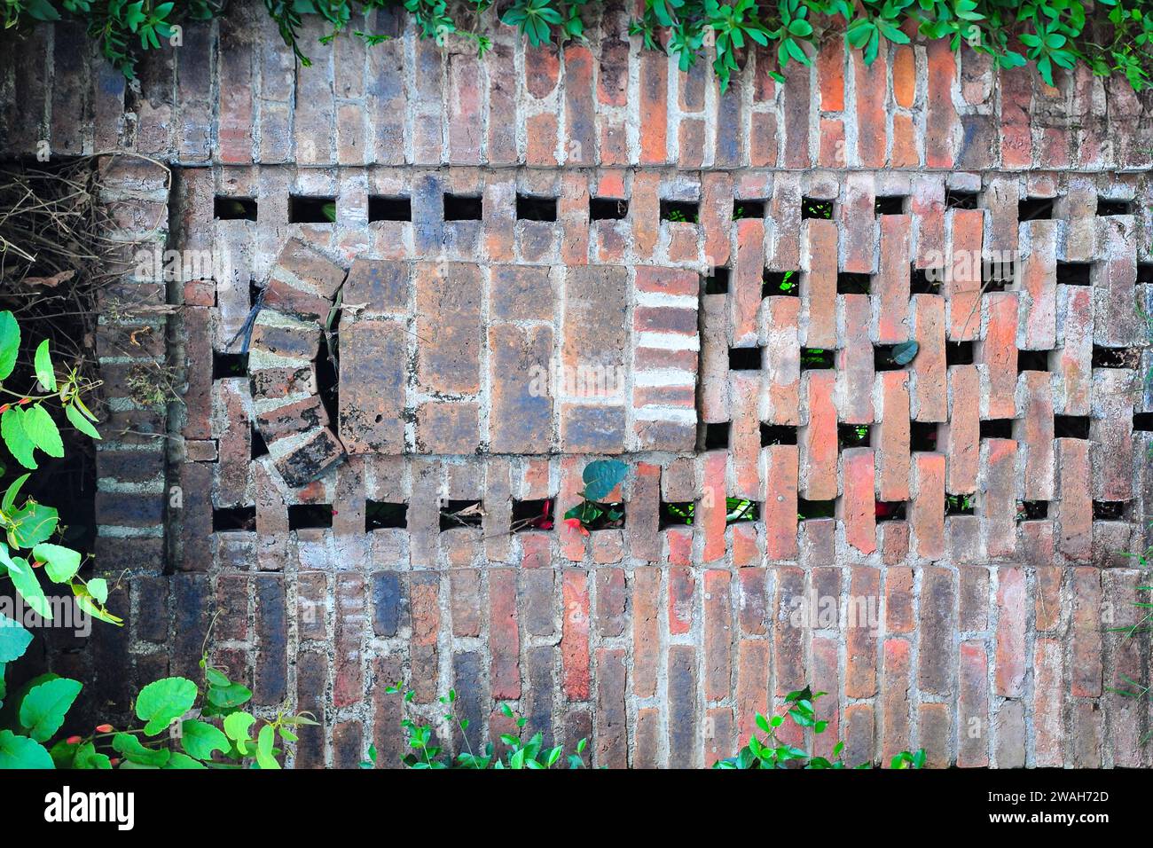 red brick walls that have been overgrown with wild plants Stock Photo ...