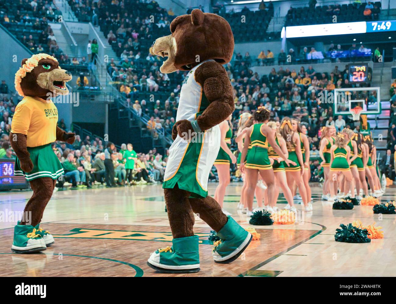 Waco, Texas, USA. 3rd Jan, 2024. Baylor Lady Bears mascots during the ...