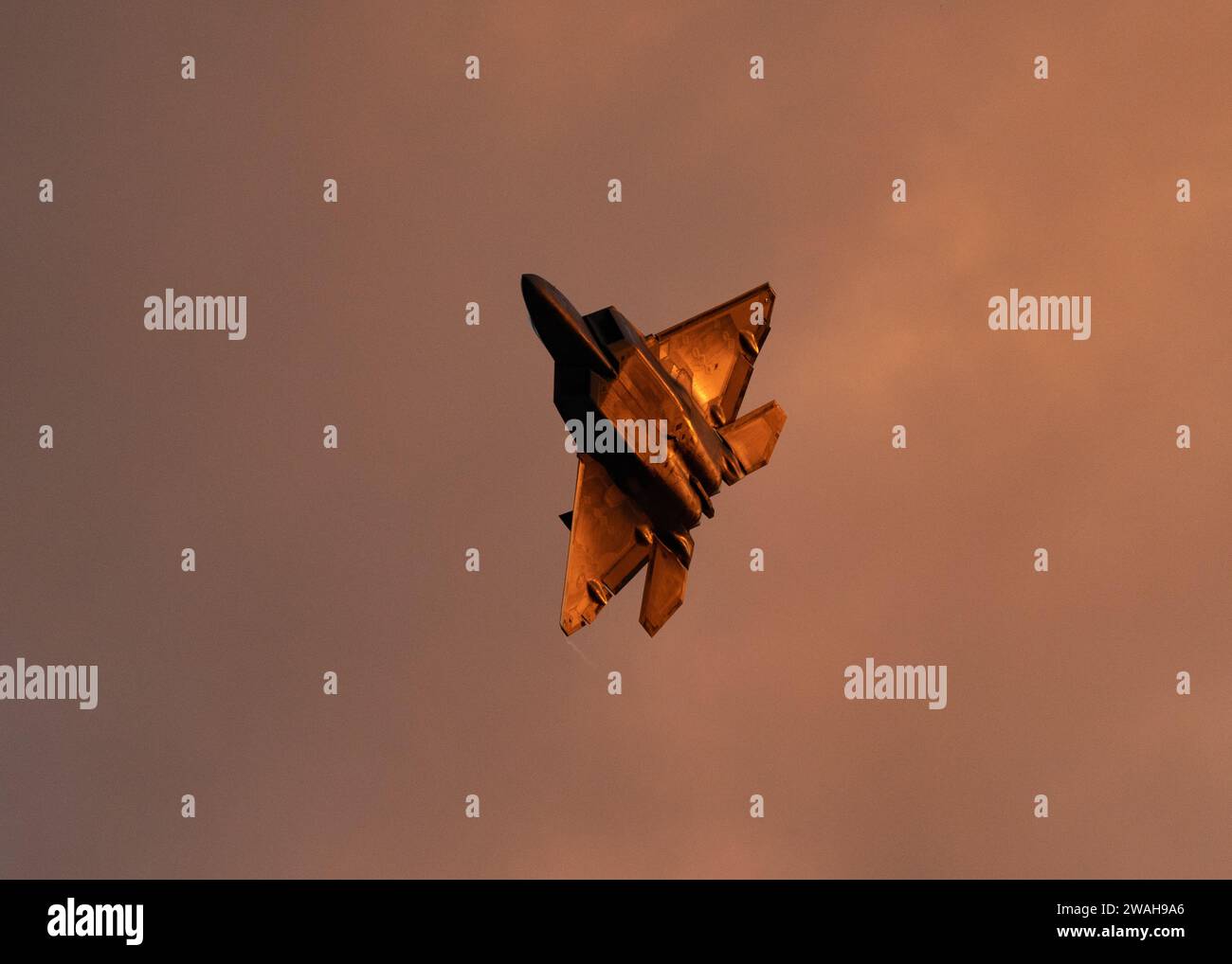 An F-22 Raptor assigned to the U.S. Air Force F-22 Raptor Demonstration ...