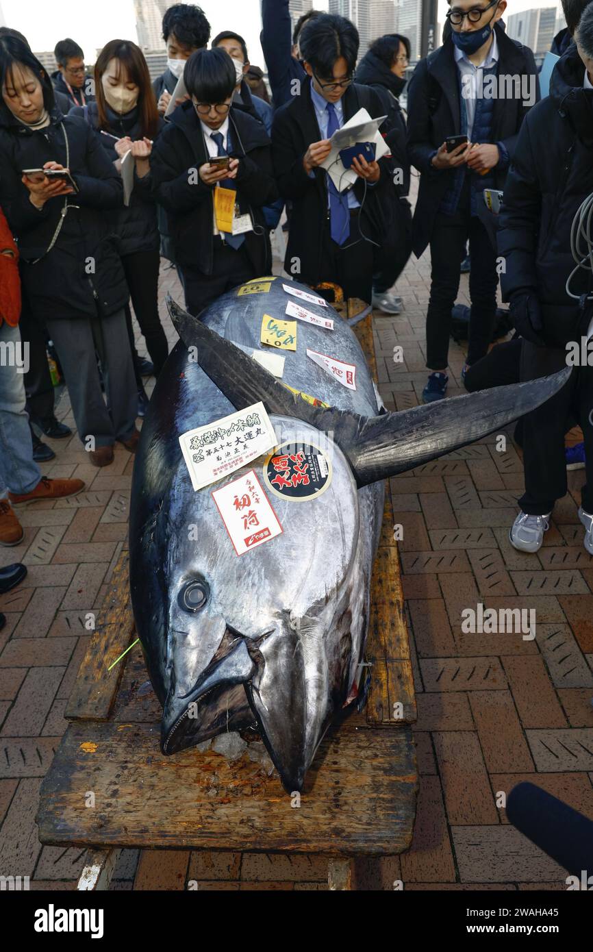 Tokyo, Japan, 05/01/2024, Photo taken Jan. 5, 2024, shows a bluefin ...