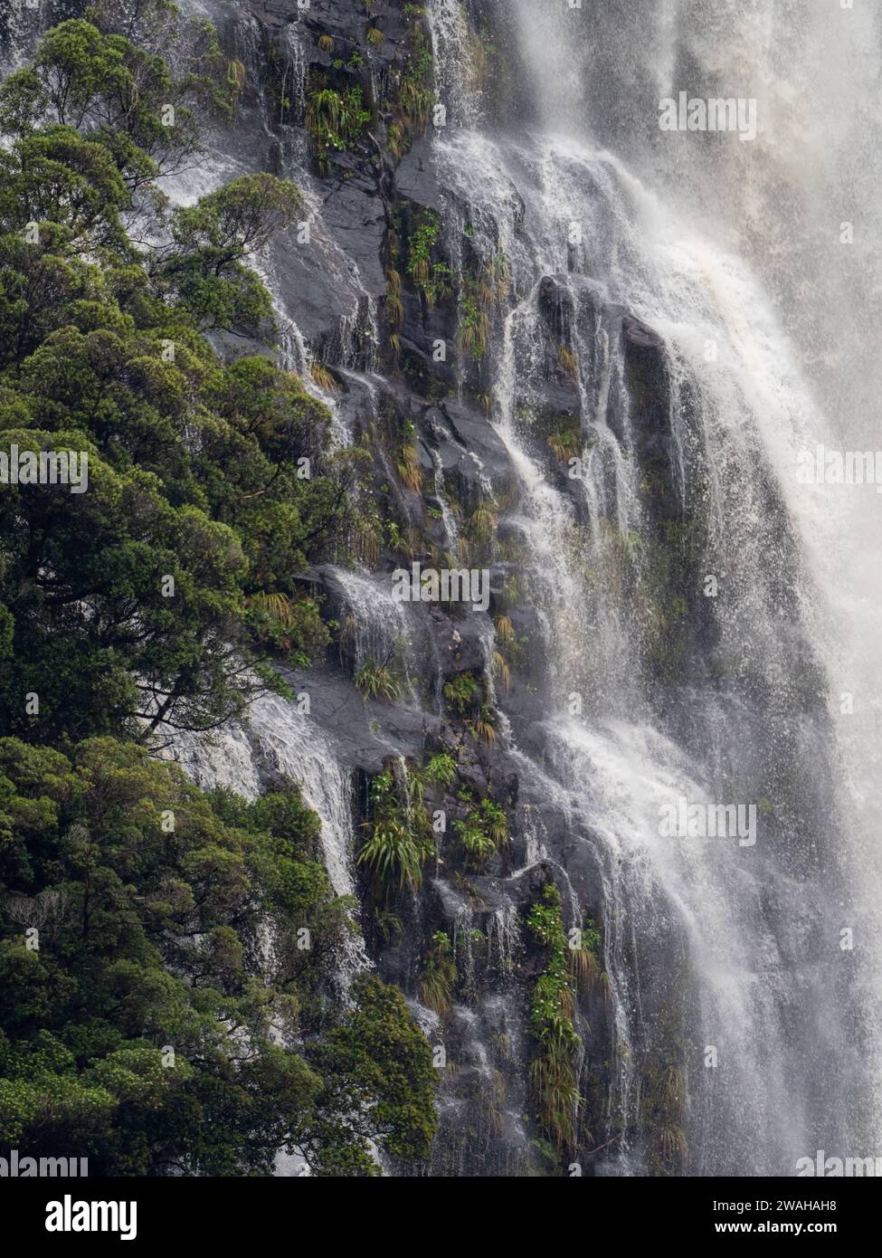 Waterfall fiordland national park hi-res stock photography and images ...