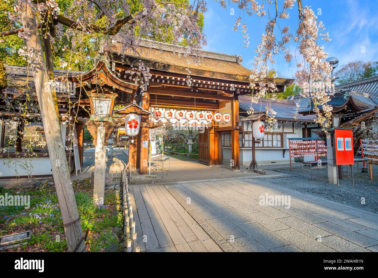 Kyoto, Japan - March 29 2023: Hirano-jinja is the site of a cherry ...