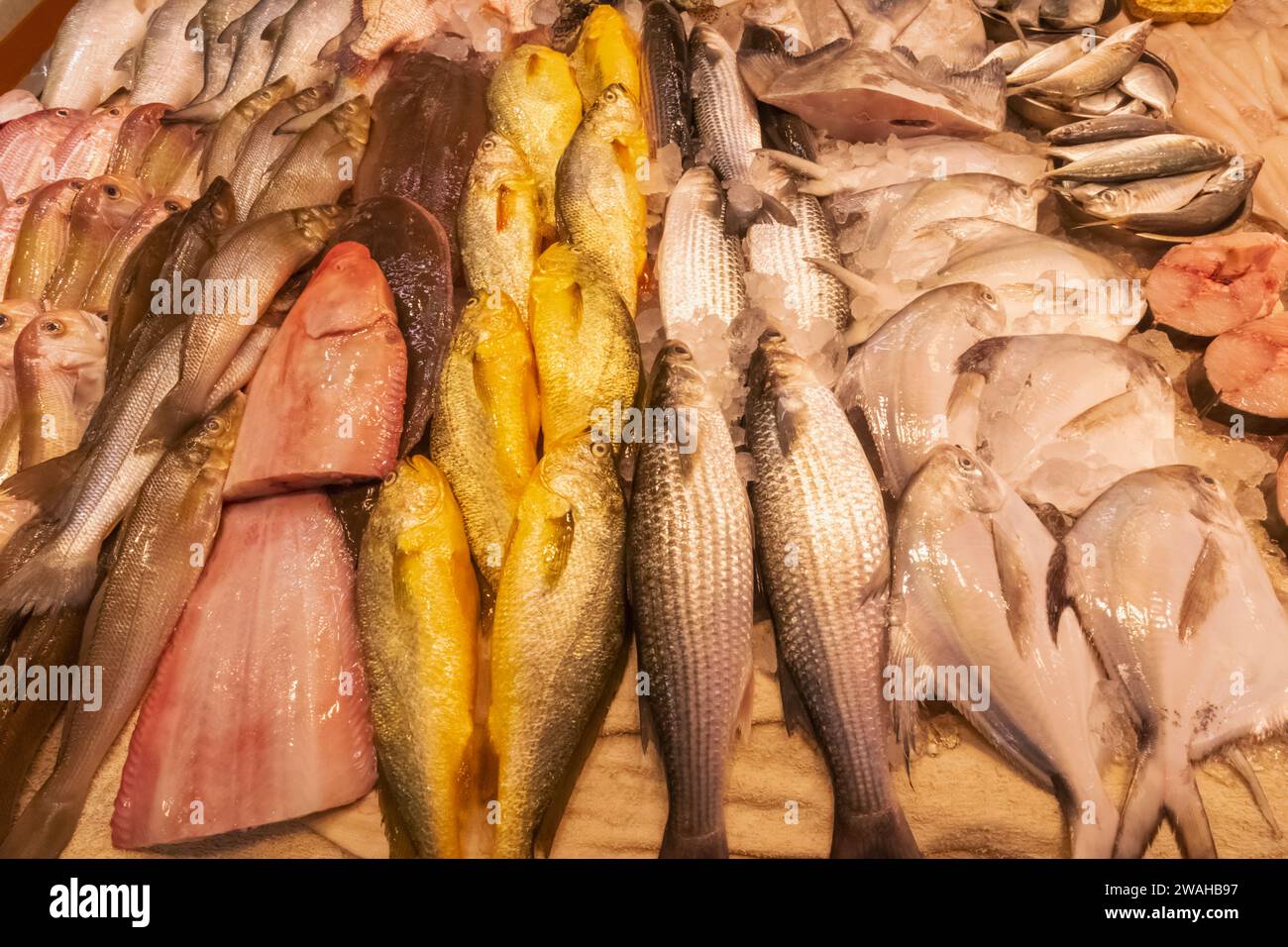 Fish shop display hi-res stock photography and images - Alamy