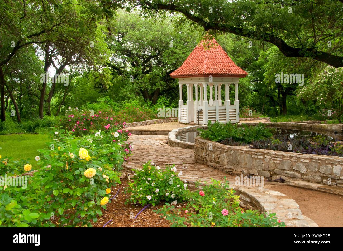 Austin zilker botanical garden hi-res stock photography and images - Alamy