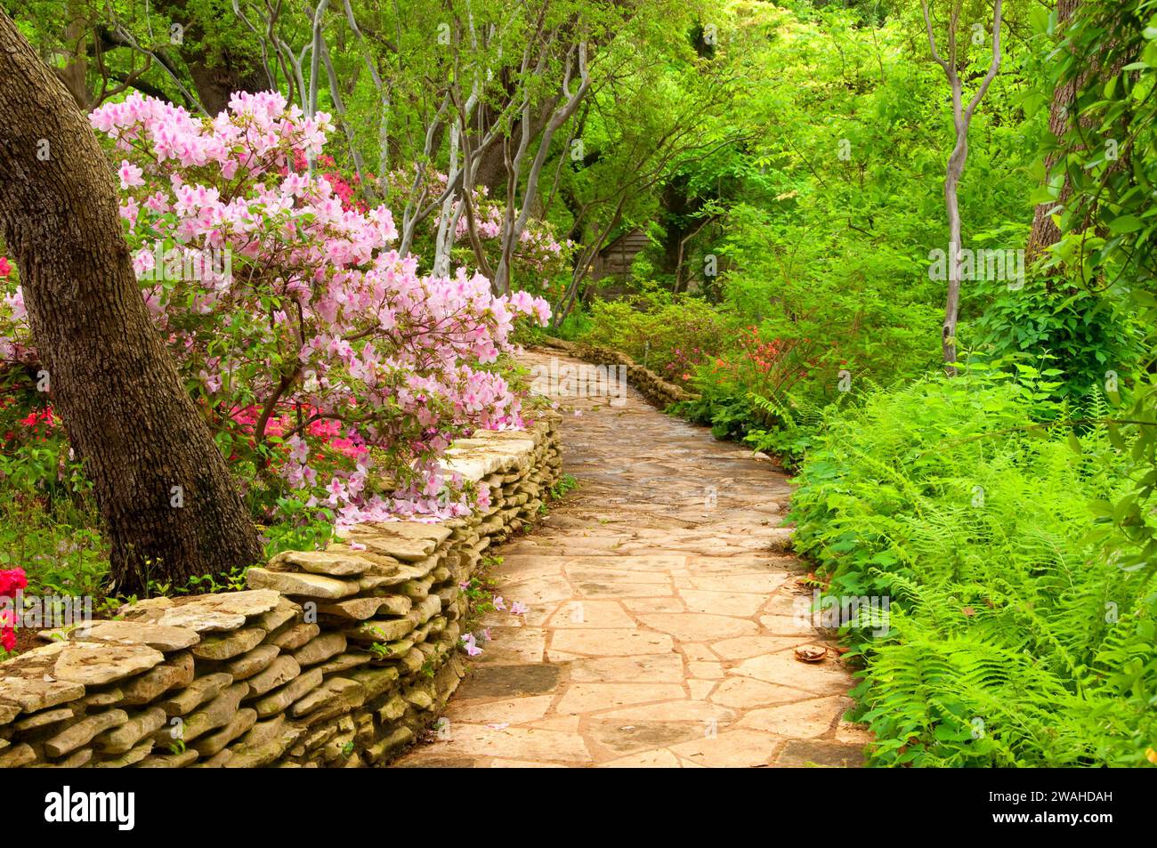 Garden path, Zilker Botanical Garden, Austin, Texas Stock Photo - Alamy