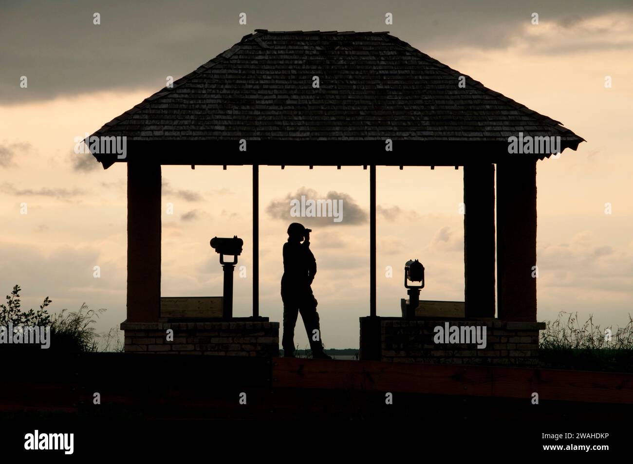 Osprey Overlook, Laguna Atascosa National Wildlife Refuge, Texas Stock ...
