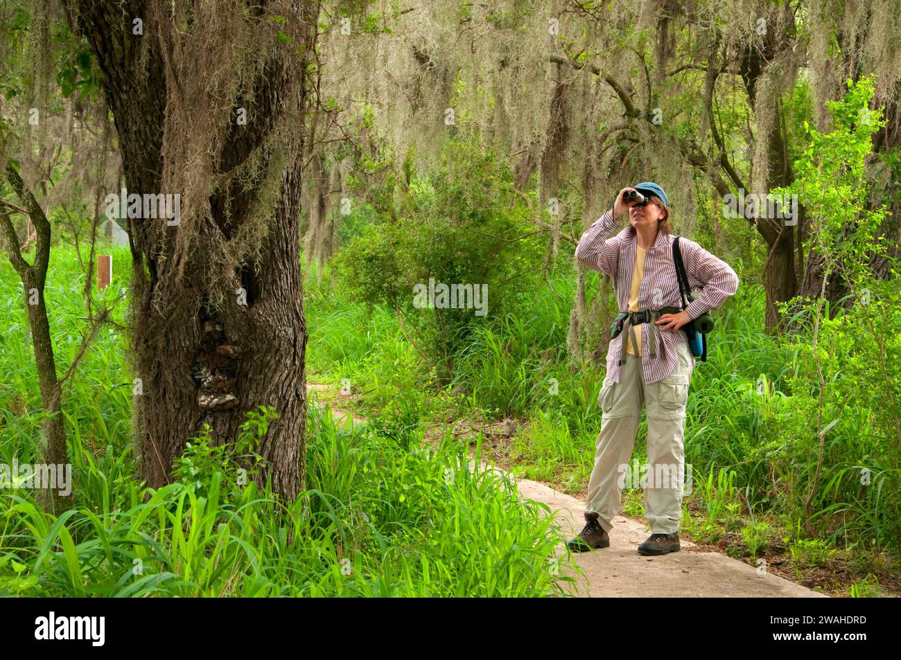 Birding on Pintail Lakes Trail, Santa Ana National Wildlife Refuge ...