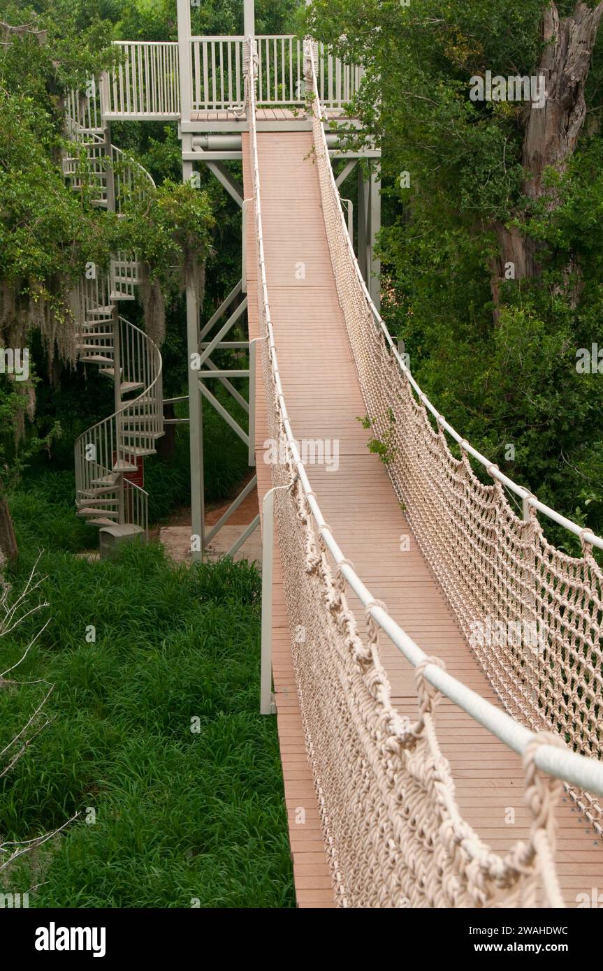 Canopy Trail, Santa Ana National Wildlife Refuge, Texas Stock Photo - Alamy