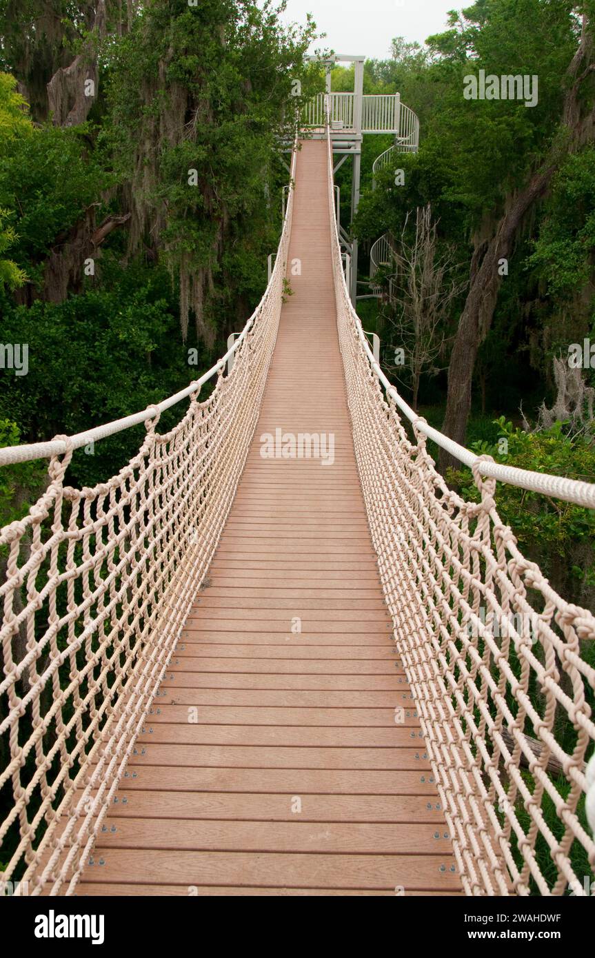 Canopy Trail, Santa Ana National Wildlife Refuge, Texas Stock Photo - Alamy