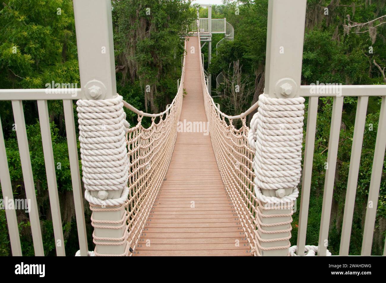 Canopy Trail, Santa Ana National Wildlife Refuge, Texas Stock Photo - Alamy