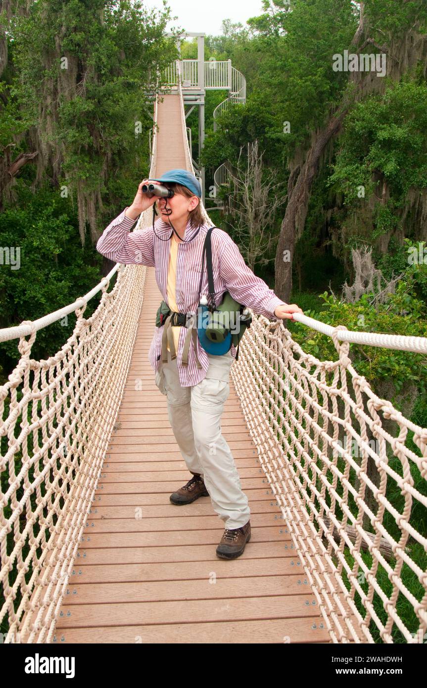 Canopy Trail, Santa Ana National Wildlife Refuge, Texas Stock Photo - Alamy