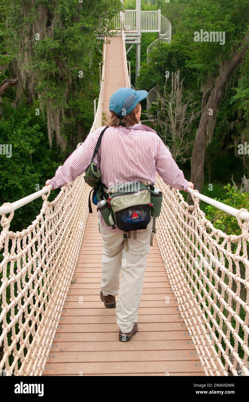 Canopy Trail, Santa Ana National Wildlife Refuge, Texas Stock Photo - Alamy