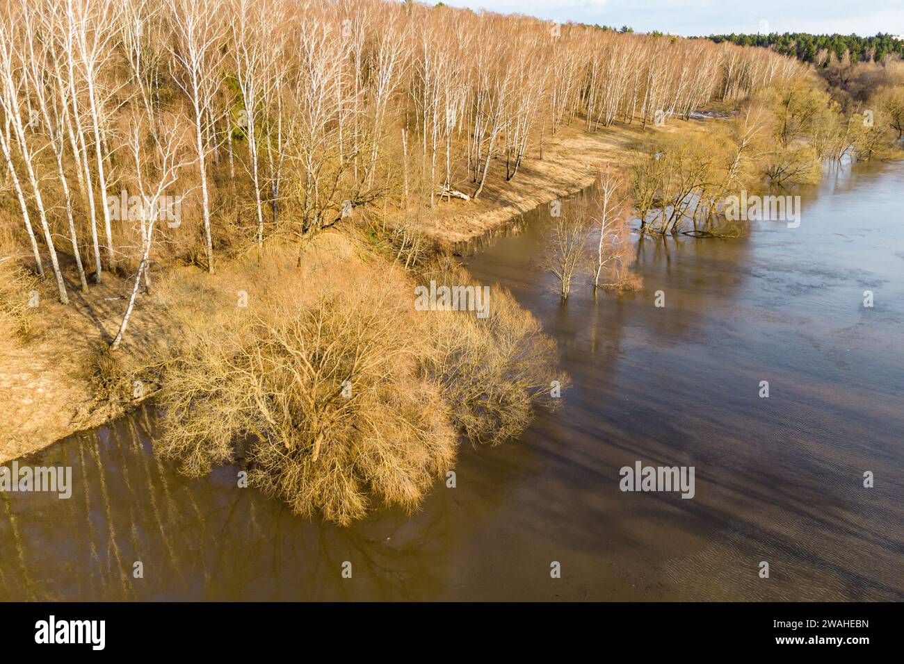 During the spring flood, river waters emerging from the floodplain wash ...