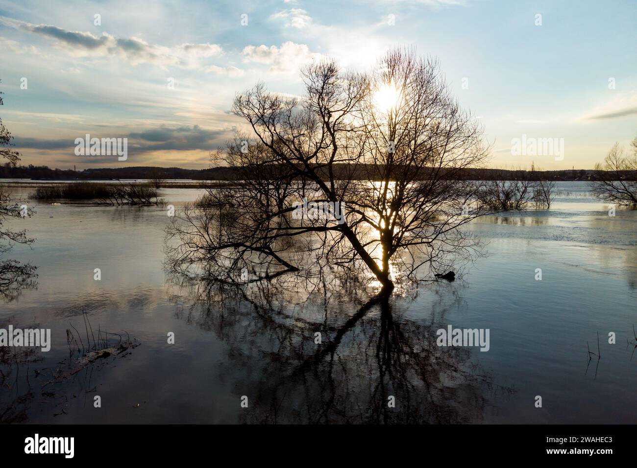 River flood during spring flood at sunset Stock Photo - Alamy