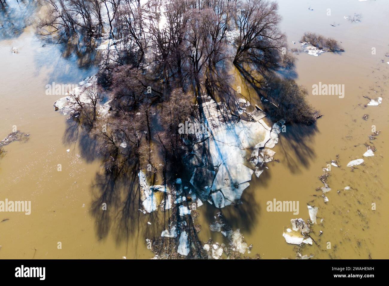 Aerial view of trees flooded during the spring flood of the river and ...