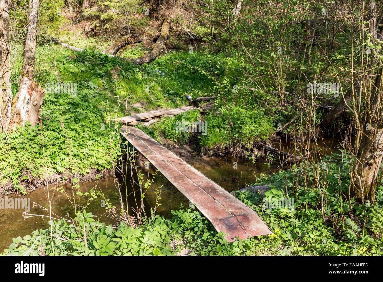 Small pedestrian bridge over a small stream in nature Stock Photo - Alamy