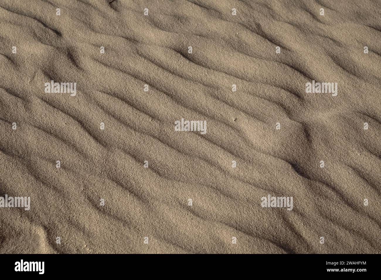 summer vacation. sandy beach background. desert sand dune. summer ...
