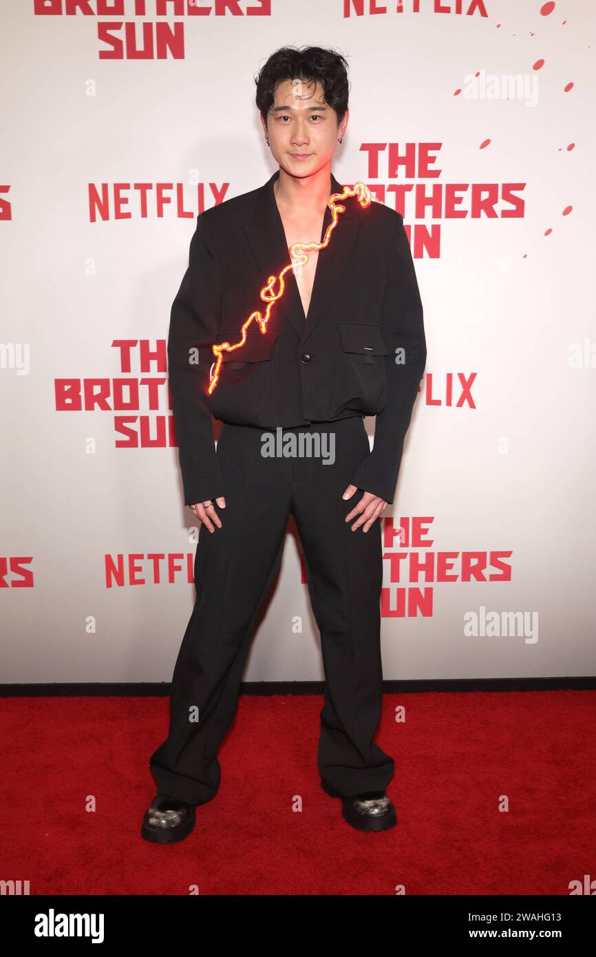 LOS ANGELES, CA - JANUARY 4: Sam Song Li at the Netflix Premiere Of The ...