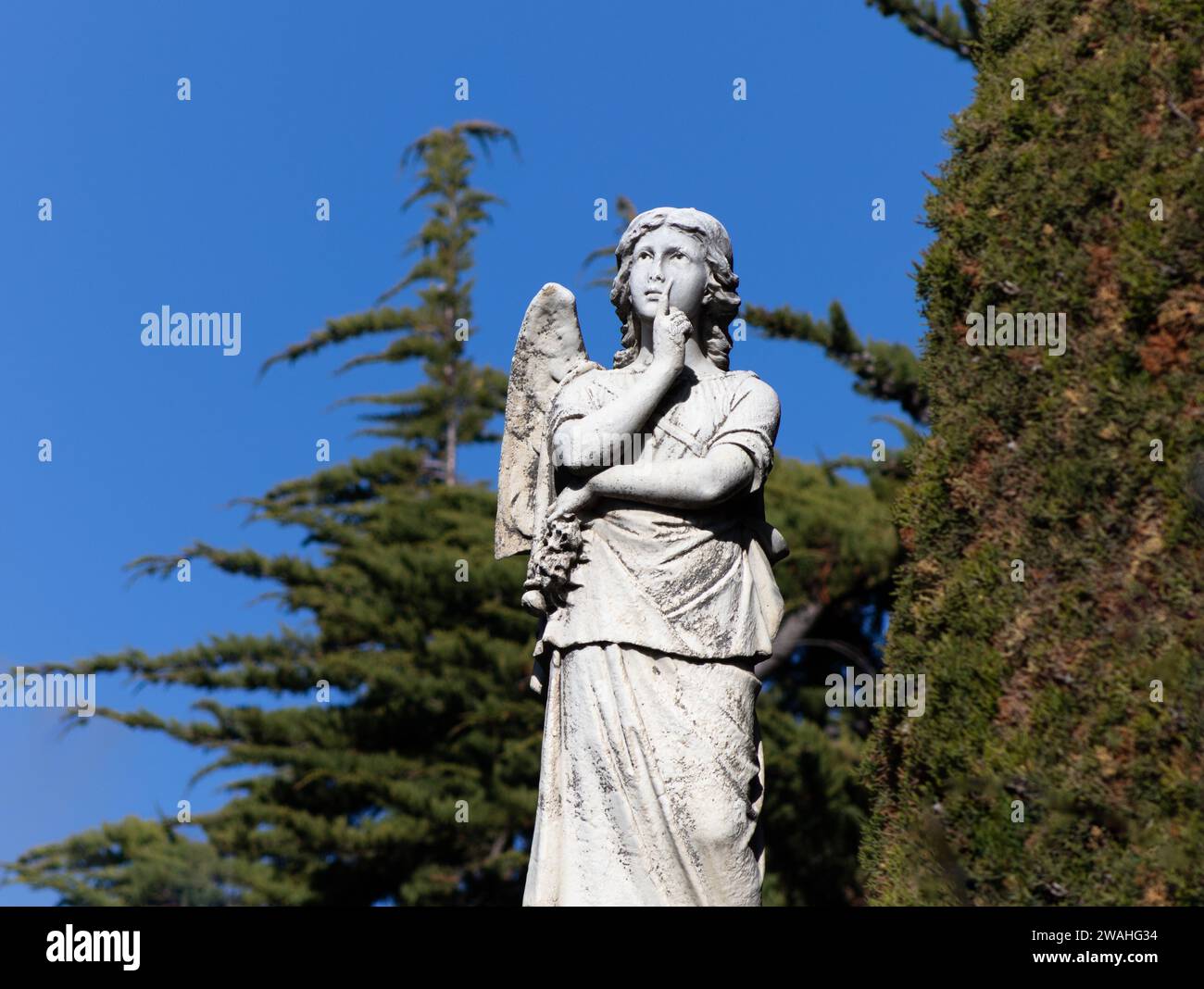angel statue looking up thinking Stock Photo - Alamy
