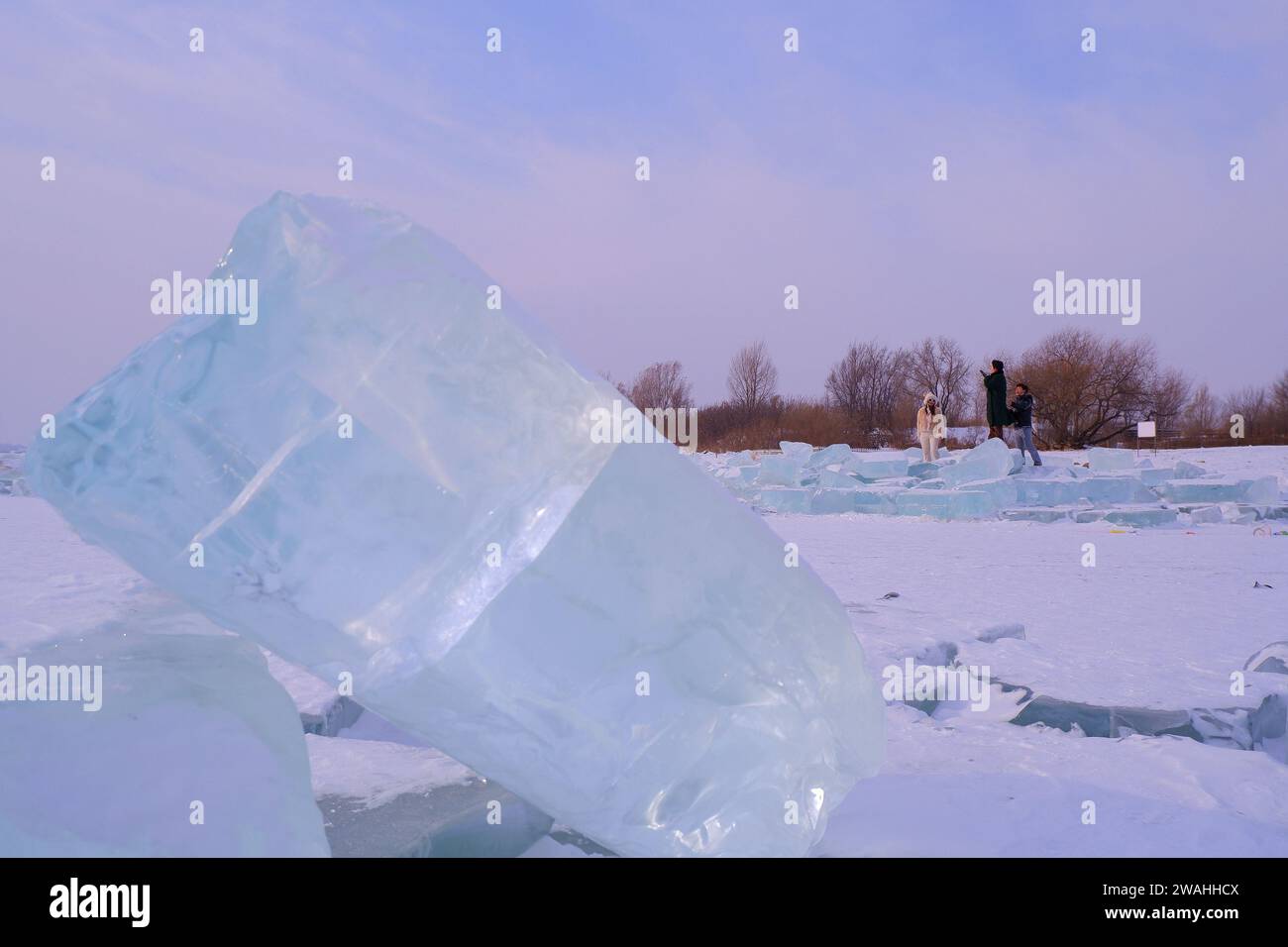 Ice blocks on the frozen Songhua River look like diamonds in Harbin ...
