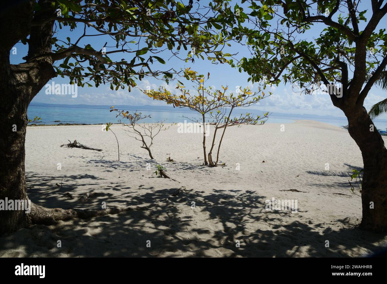 Trees with shadow and beautiful white sand beach on a sunny, hot, and ...