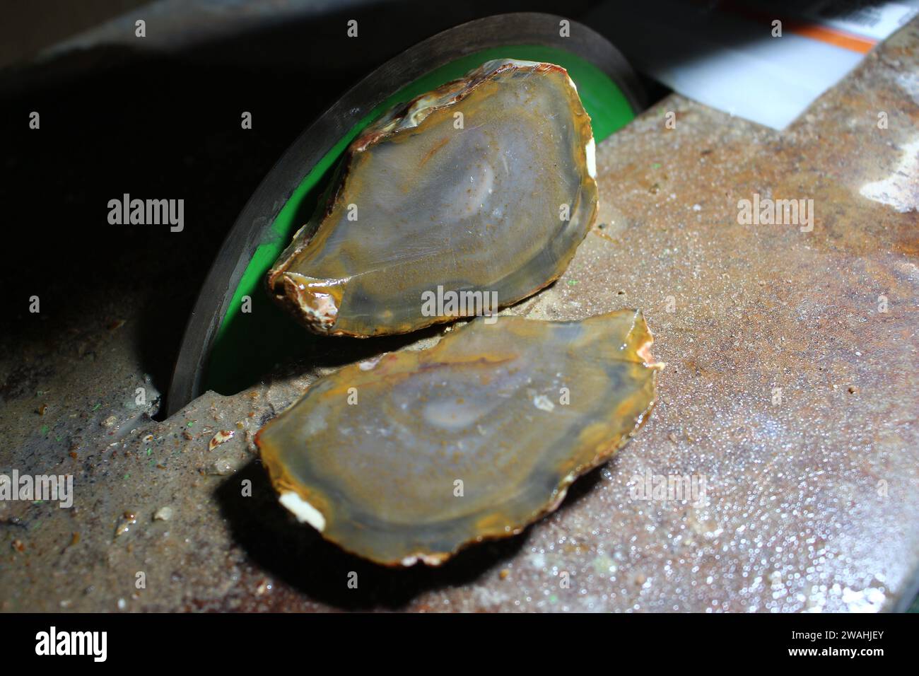 Diamond blade for sawing stone and sawn flint nodule Stock Photo - Alamy