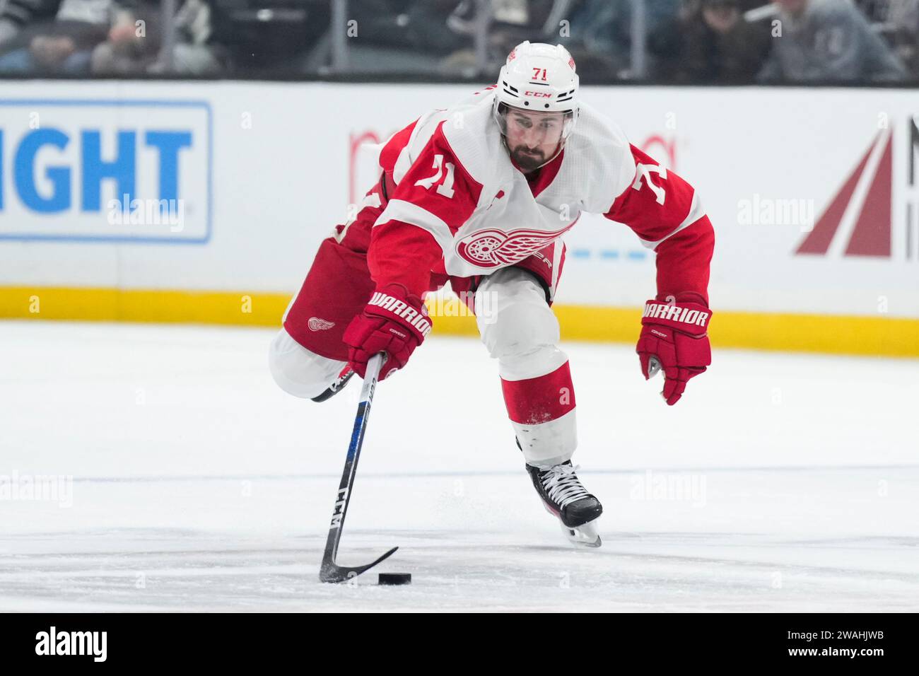 Detroit Red Wings center Dylan Larkin (71) reaches for the puck during ...