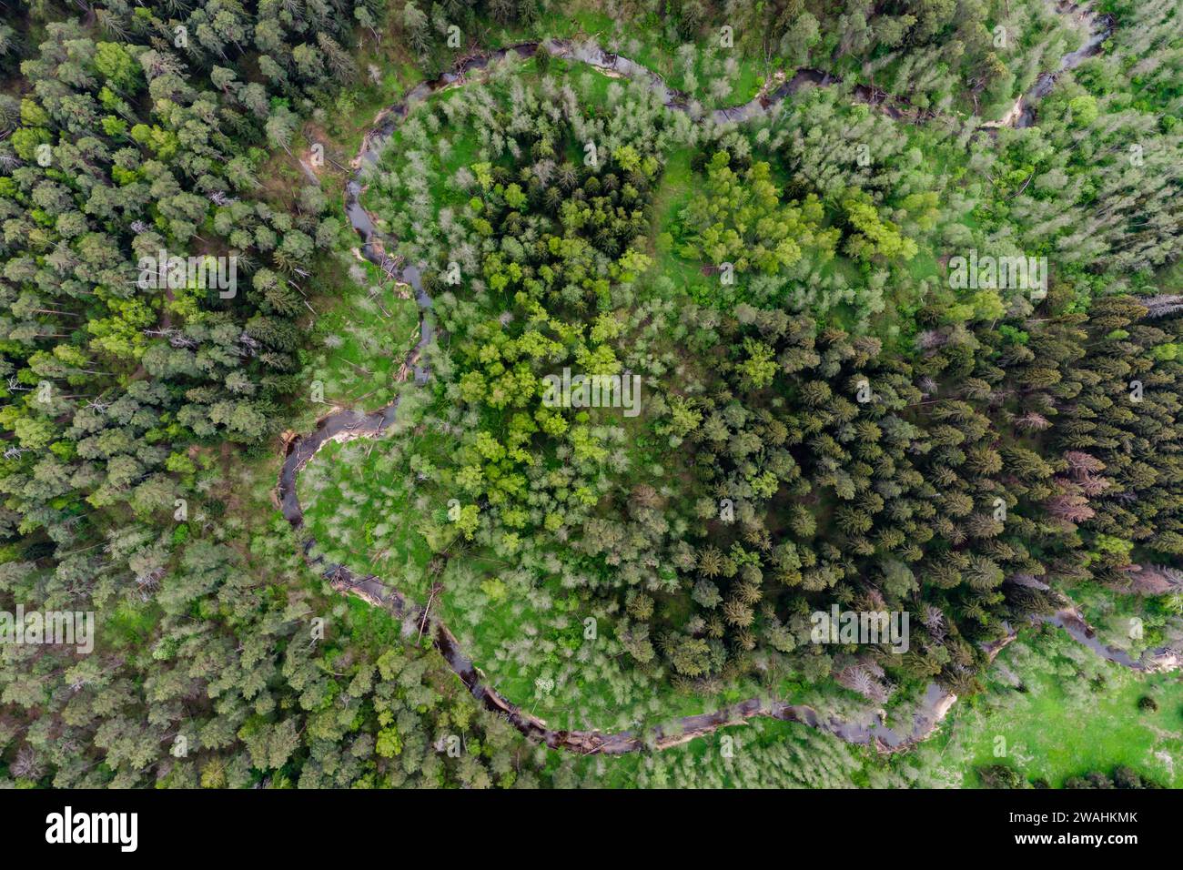 A high altitude view of a river loop in a wild forested area. Borinka ...