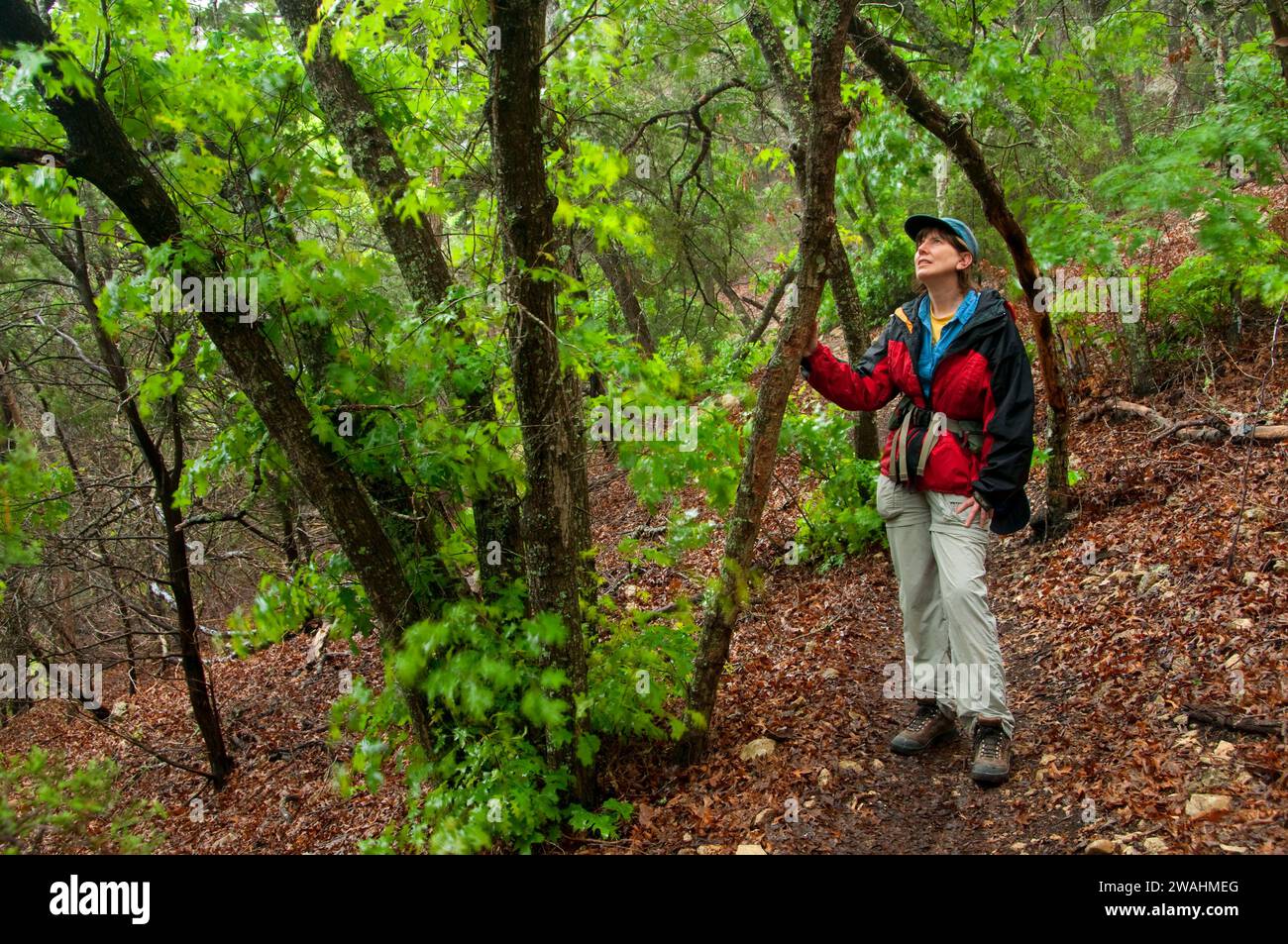Cactus Rock Trail, Balcones Canyonlands National Wildlife Refuge, Texas ...