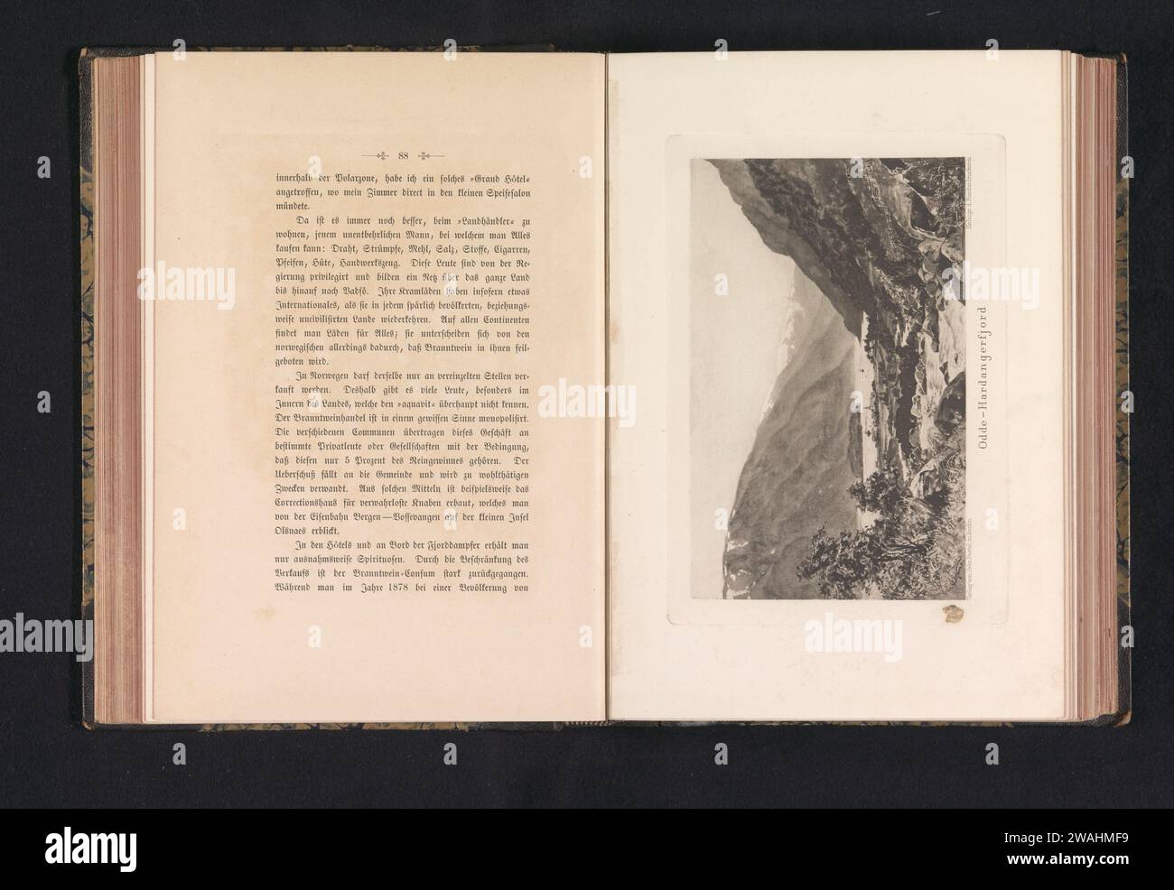 Photo production of a drawing, representing a face on Odda, Anonymous ...