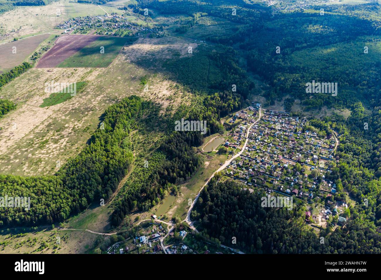 Secluded forests hi-res stock photography and images - Alamy