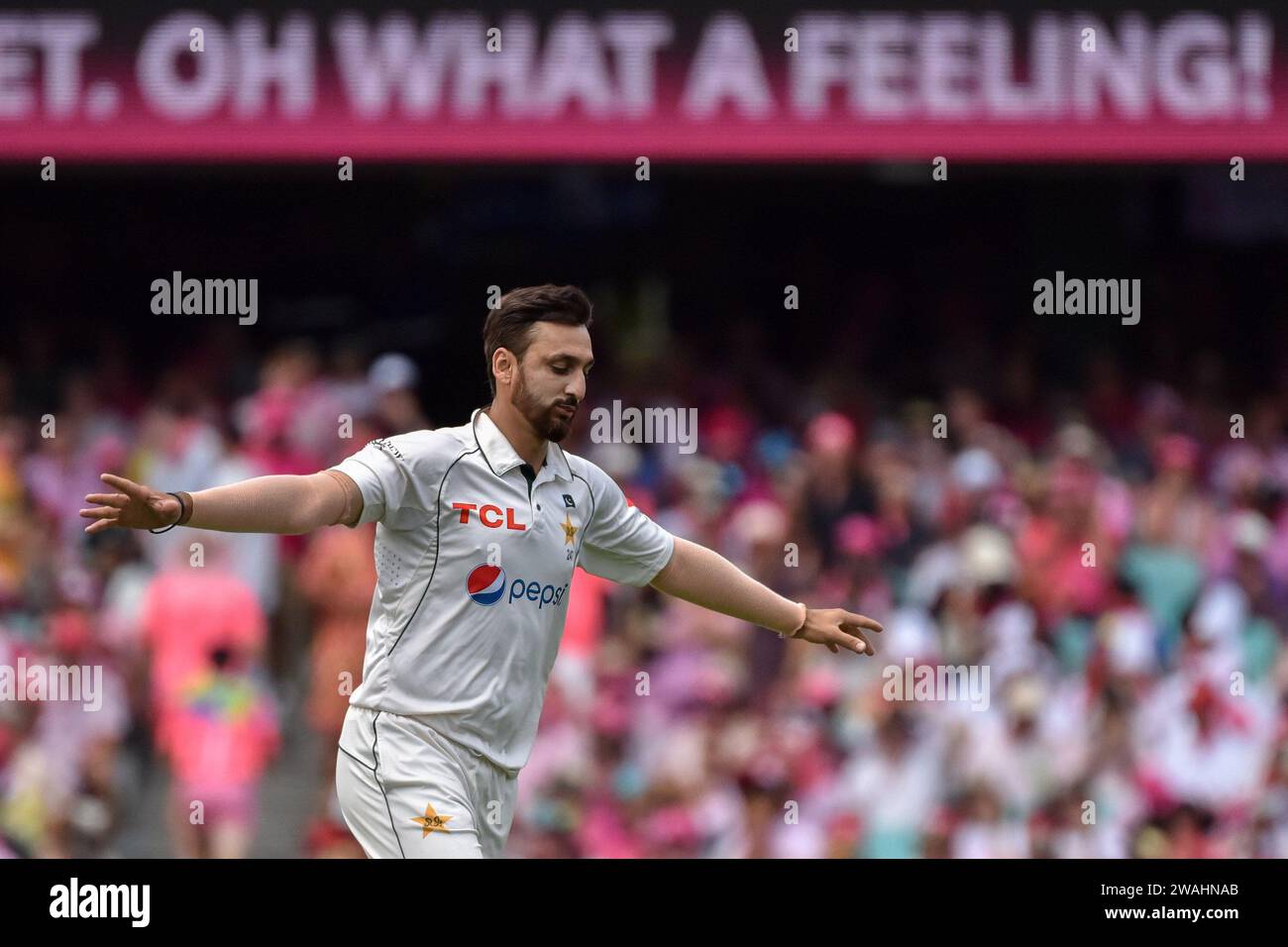 Salman ali agha hi-res stock photography and images - Alamy