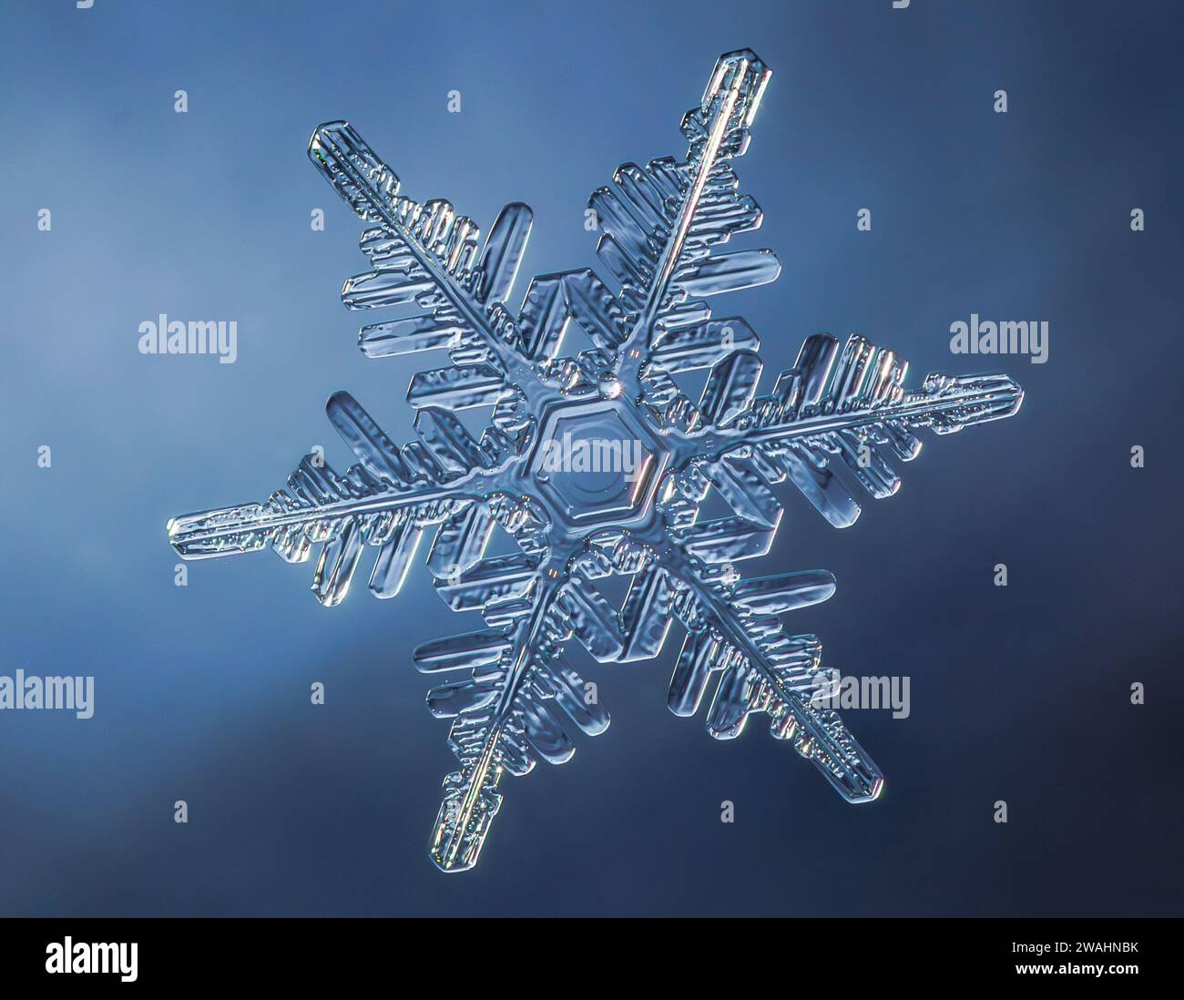 Natural snowflake crystal in blue background Stock Photo - Alamy
