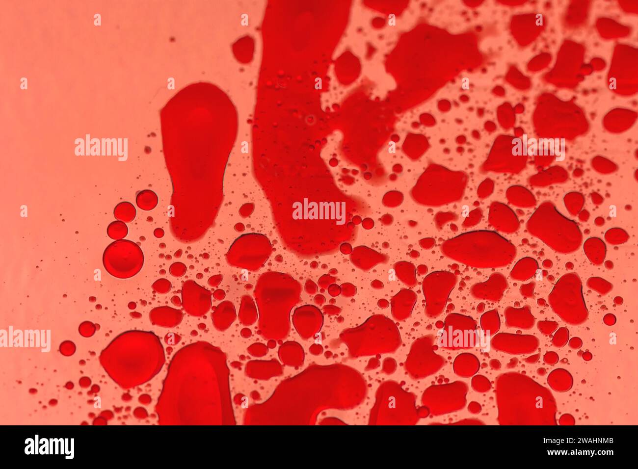 Macro of drops of red food color on cooking oil with back light through ...