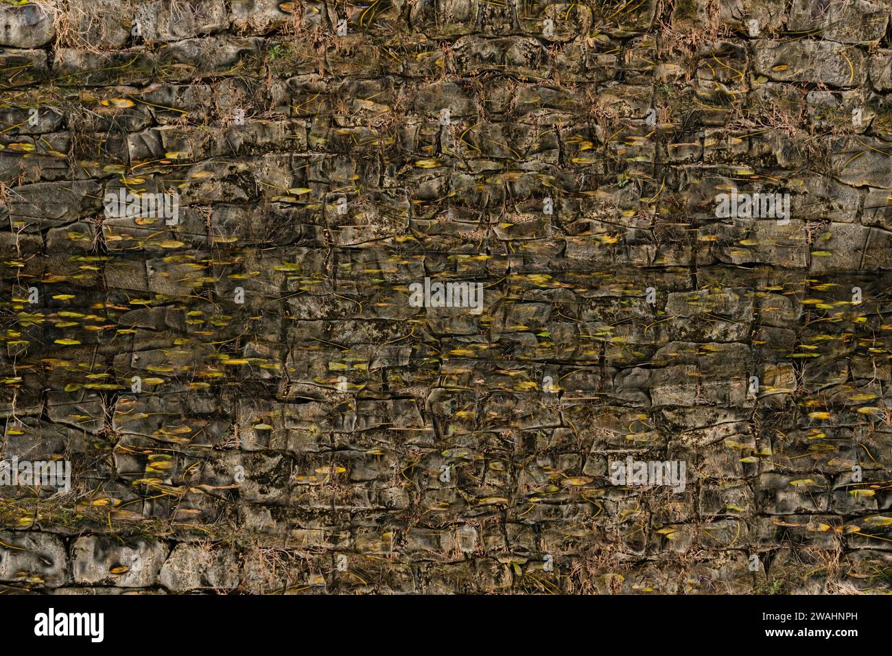 Stone wall and its reflection in pond of still water Stock Photo - Alamy