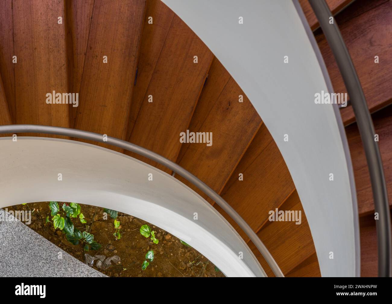 Top down view of wooden spiral staircase with plants growing in soil on ...